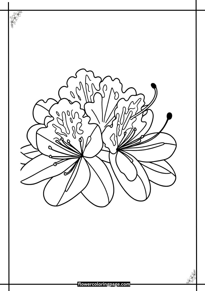 Rhododendron Coloring Pages Free Printable Coloring Pages [PDF ... Rhododendron Coloring Pages Free Printable Coloring Pages [PDF ...