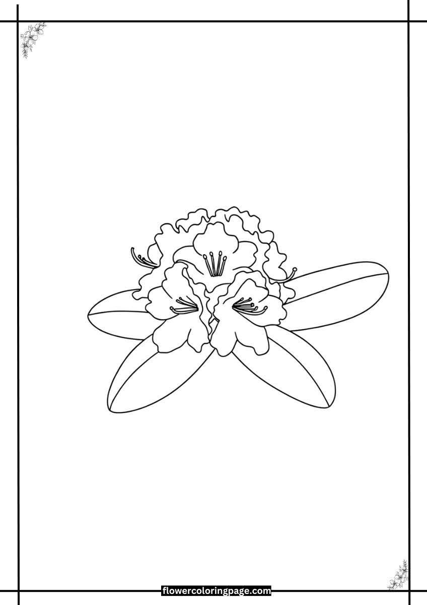 Rhododendron Coloring Pages Free Printable Coloring Pages [PDF ... Rhododendron Coloring Pages Free Printable Coloring Pages [PDF ...