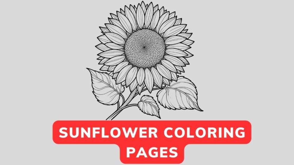 Free Sunflower Coloring Pages Printable PDF - Flower Coloring Page
